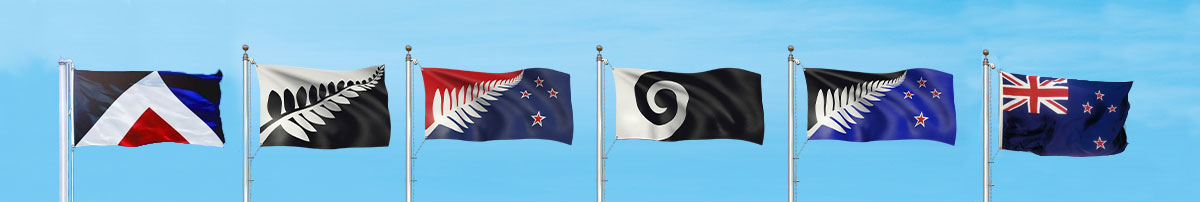 Dunedin, let's fly the flags – Some Words Came Out My Head